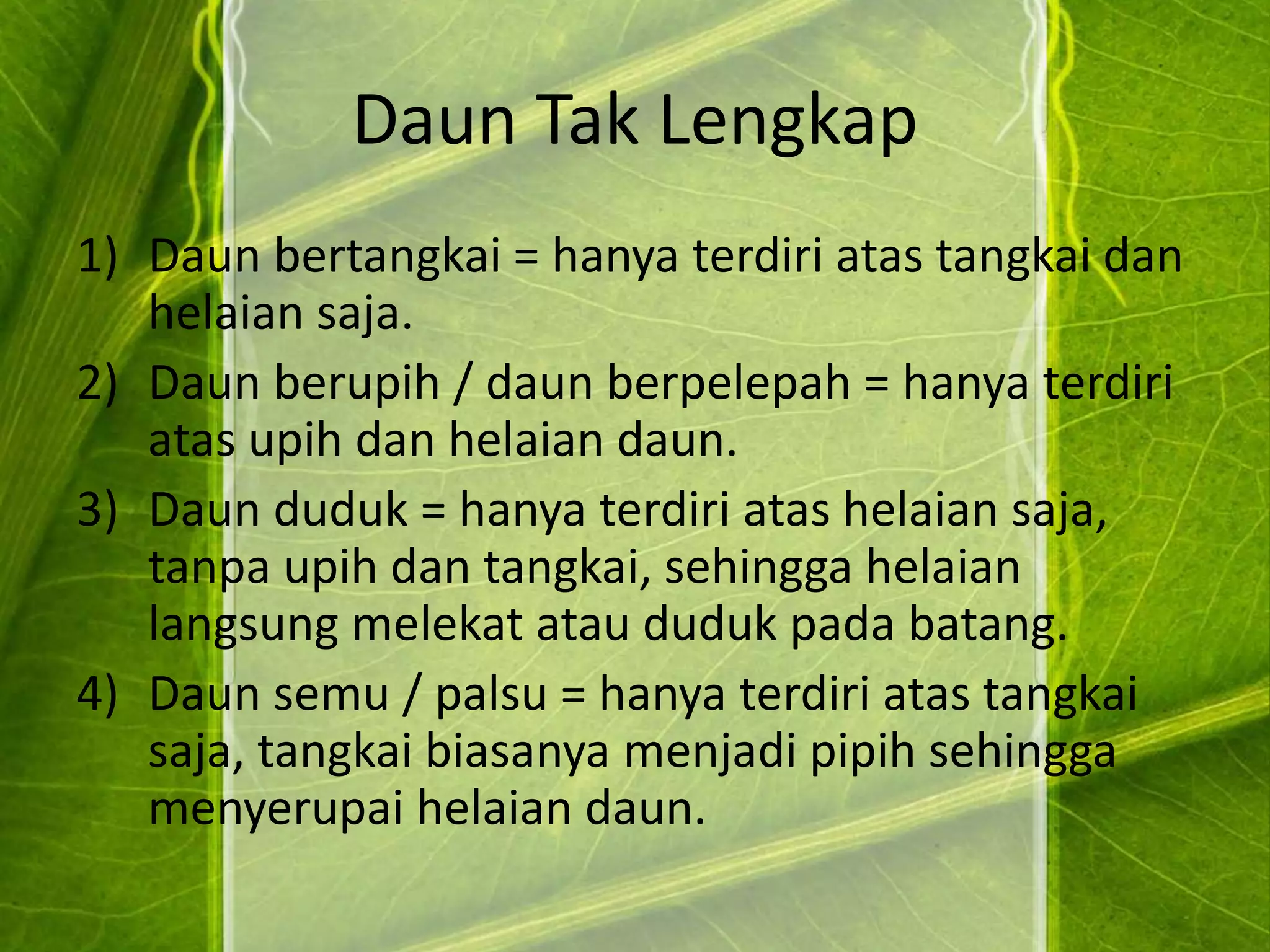 PPT Morfologi Tumbuhan - Daun dan Bangun Daun | PPTX