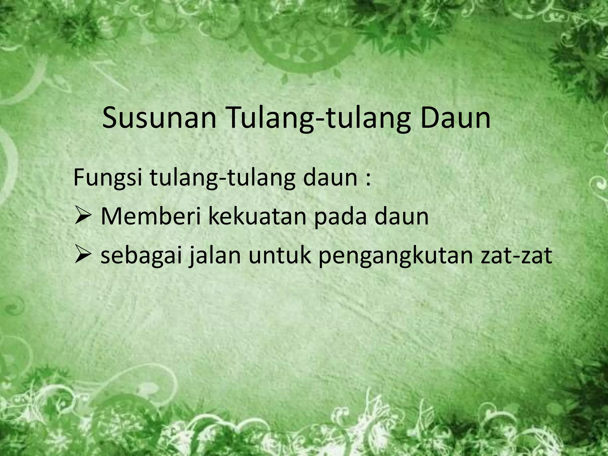 PPT Morfologi Tumbuhan - Daun dan Bangun Daun | PPTX