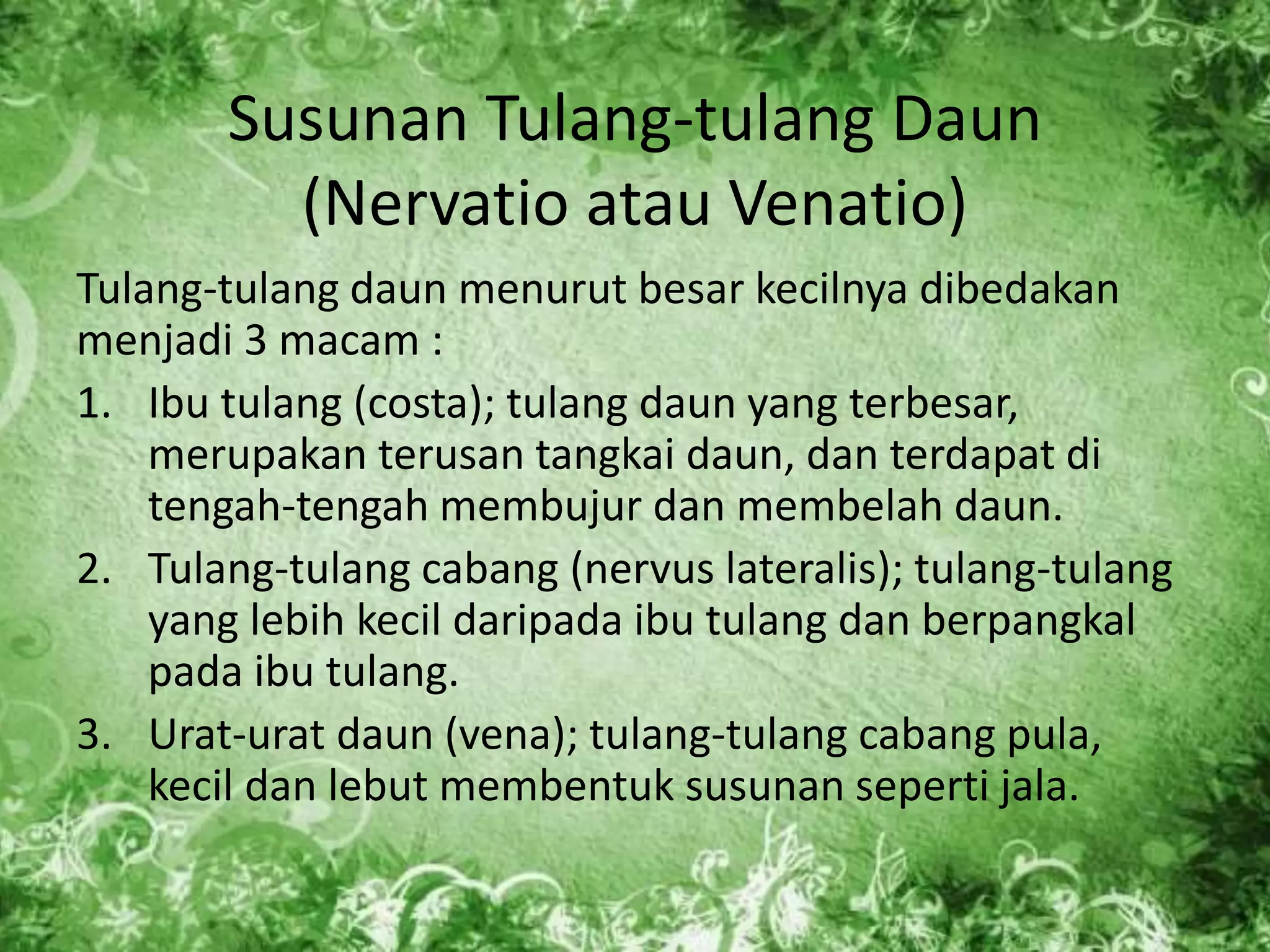 PPT Morfologi Tumbuhan - Daun dan Bangun Daun | PPTX