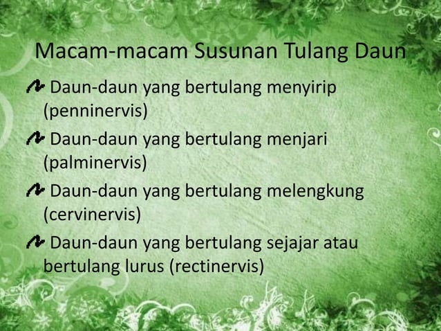 PPT Morfologi Tumbuhan - Daun dan Bangun Daun | PPTX