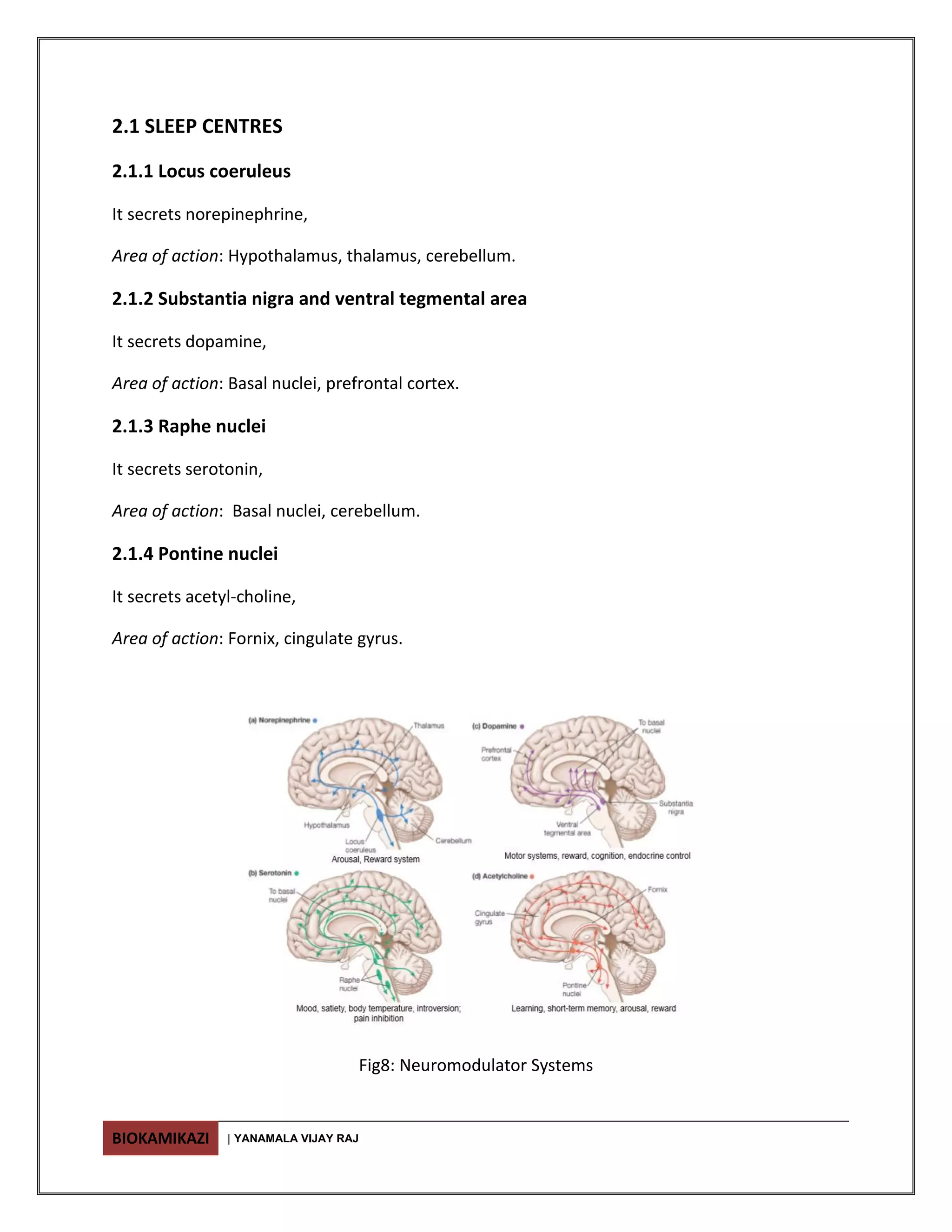 Sleep action centres | PDF