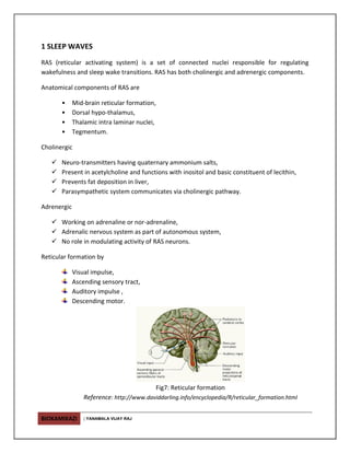 Sleep action centres | PDF