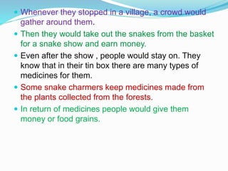 1 snake charmer story | PPTX