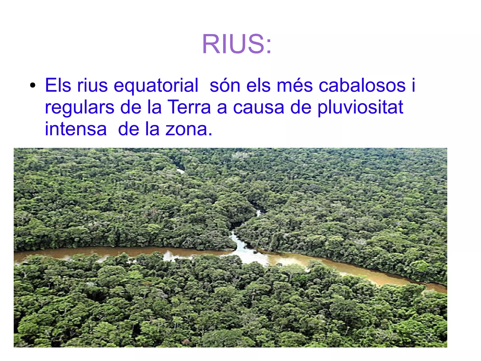 1 sociales clima equatorial ismael | PPT