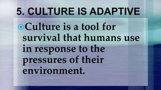 SOCIETY AND CULTURE | PPTX