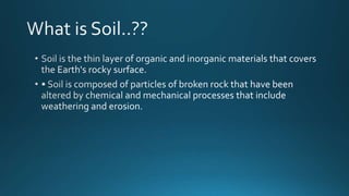 Soil and chemical pollution | PPT