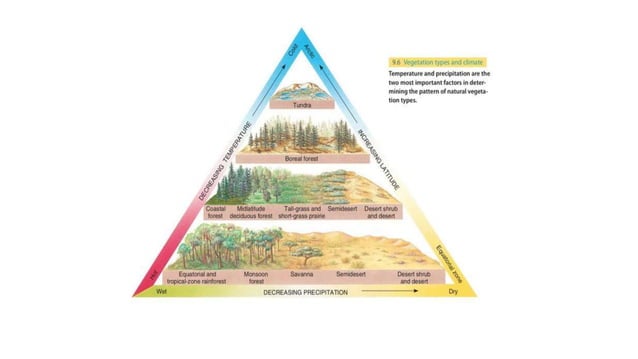 1 Soil fertility and productivity.pptx | Agriculture | Industries