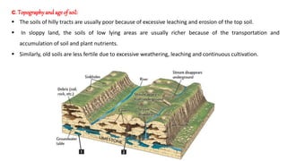 1 Soil fertility and productivity.pptx