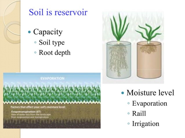 soil,water & plant relationships | PDF