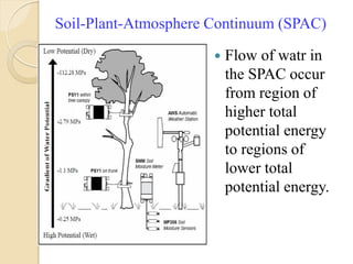 soil,water & plant relationships | PDF