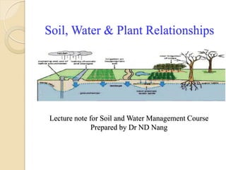 Plants And Soil Diagrams