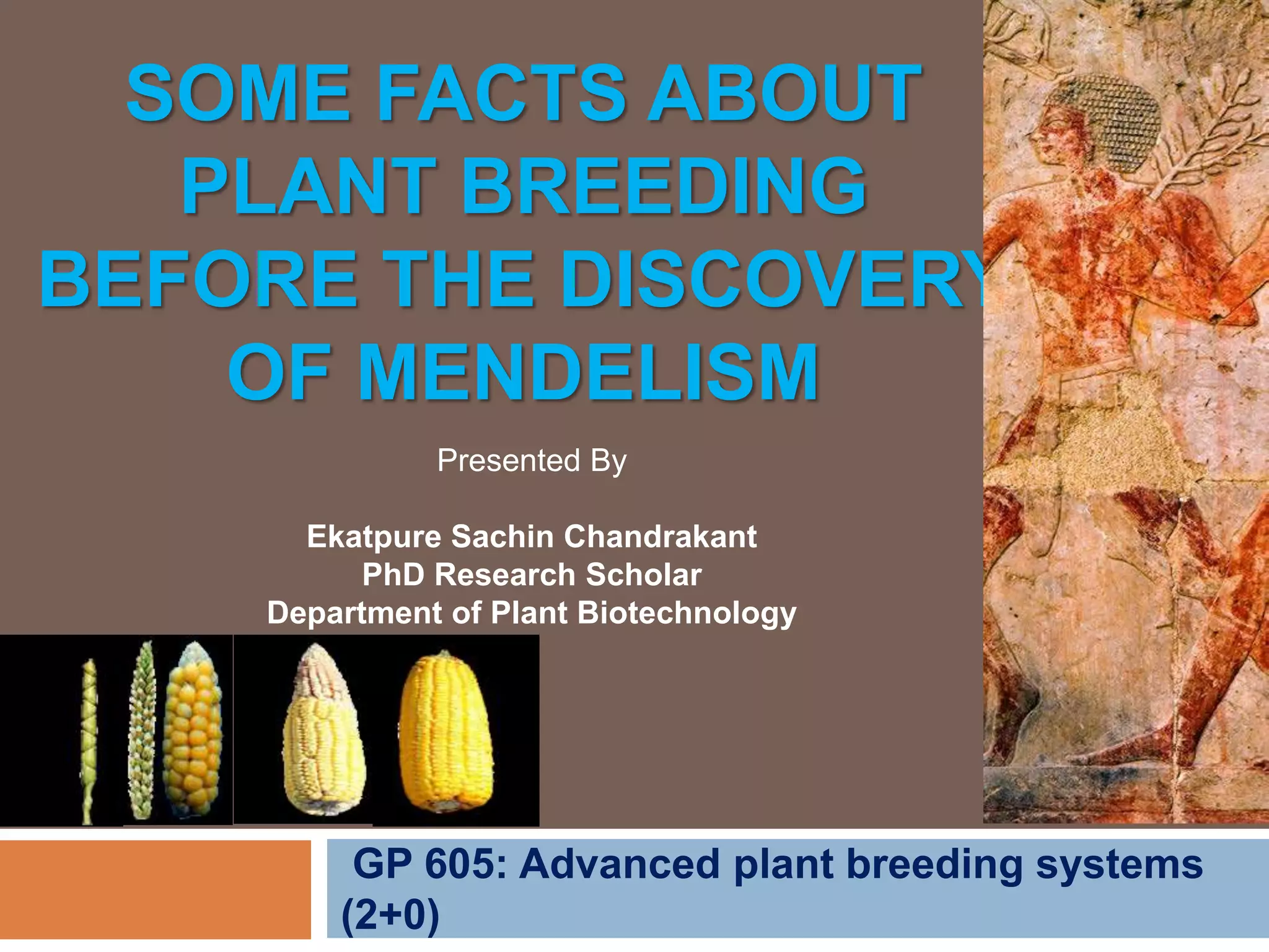 Some facts about plant breeding before the discovery of mendelism | PPTX