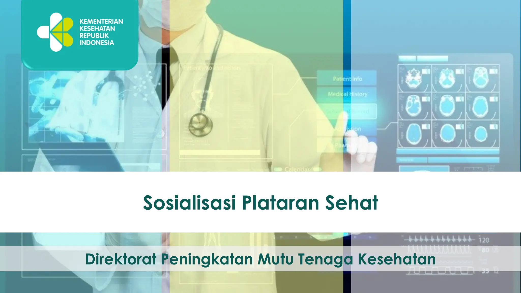 Sosialisasi Plataran Sehat Direktorat Peningkatan Mutu Tenaga Kesahatan ...