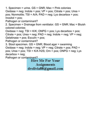 1 Specimen urine GS GNR Mac Pink colonies Oxidase .pdf