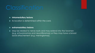 1) Spinal Cord radiology gross anatomy central nervous system | PDF