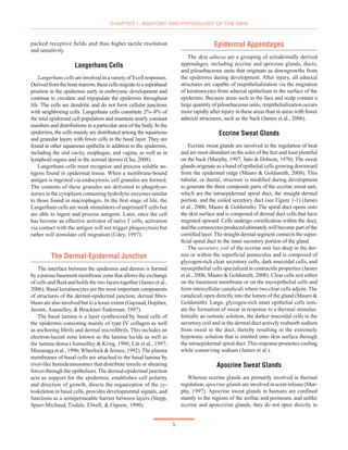 Skin | PDF