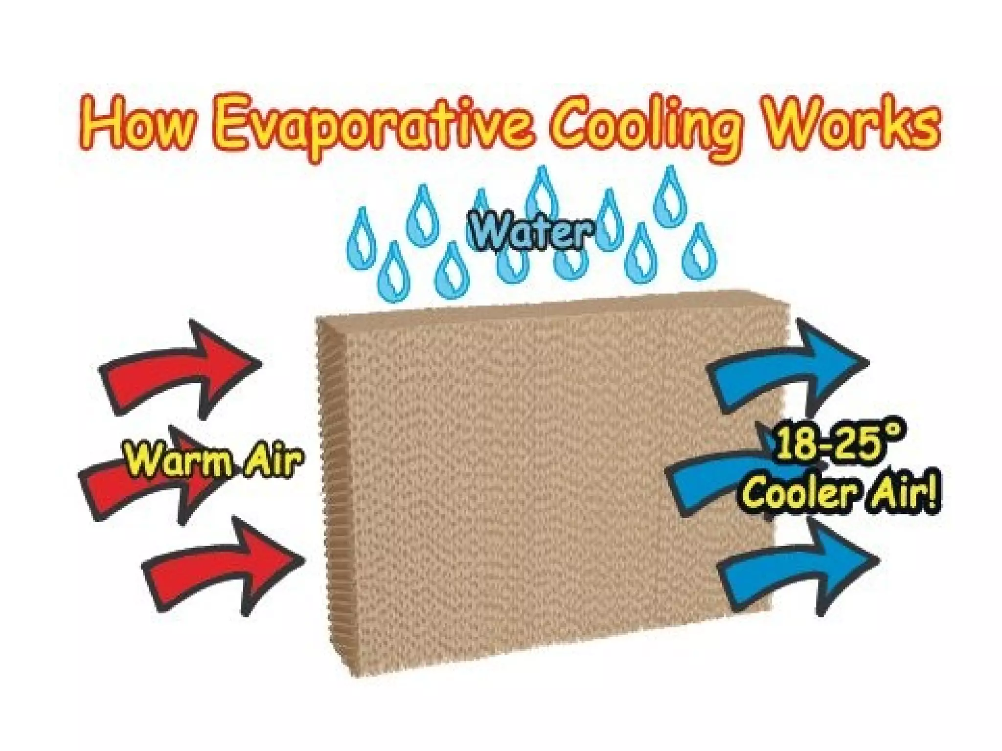 ncert science class 9th | PDF