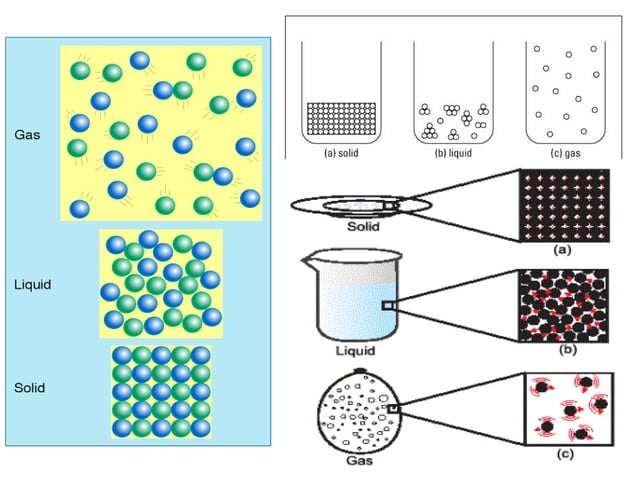 ncert science class 9th | PDF