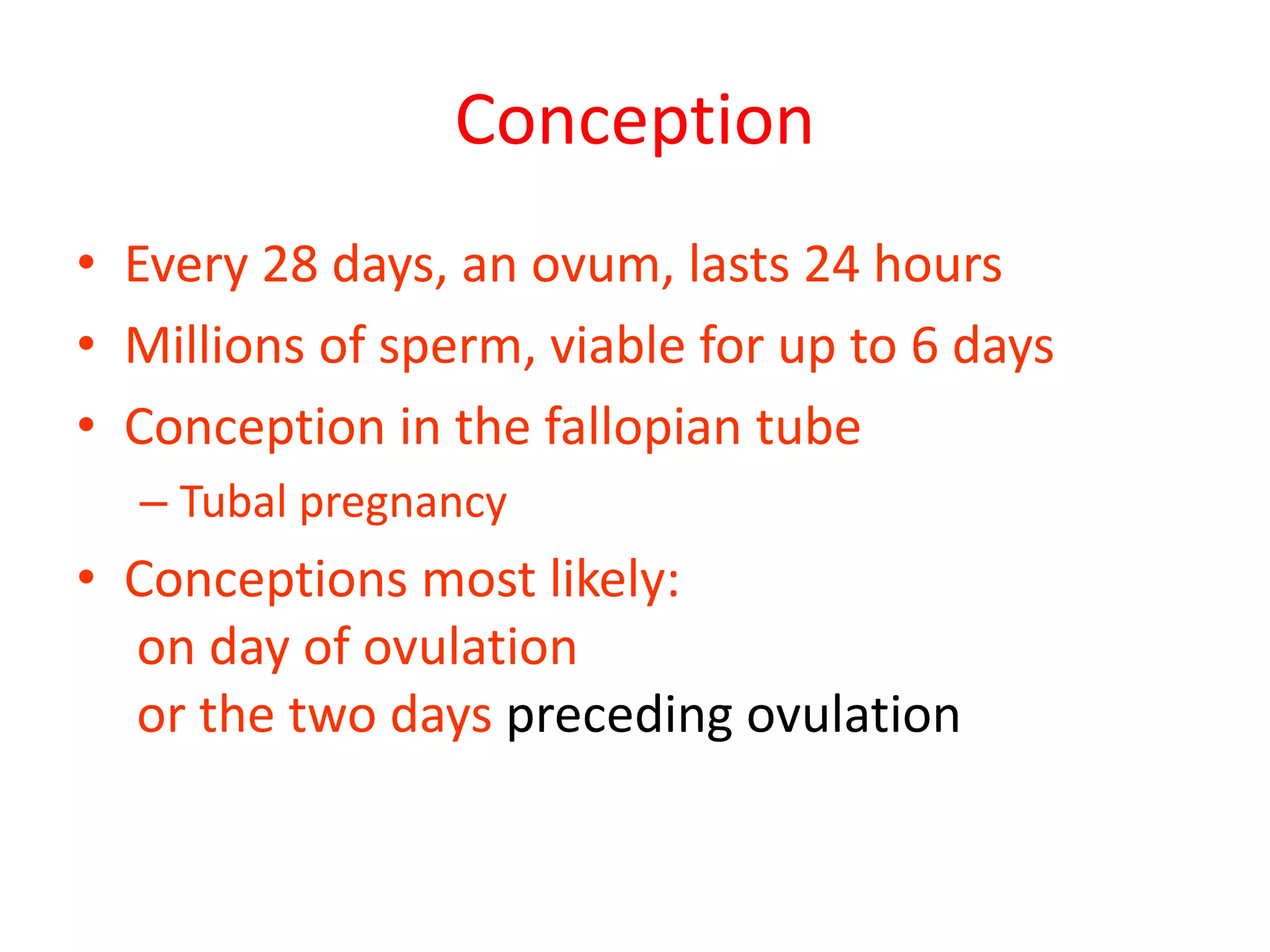 1st-8th week of pregnancy | PPT