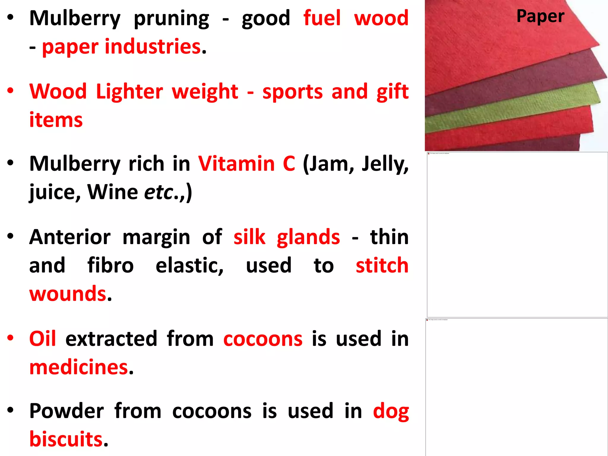 1st chapter introduction to sericulture | PPTX