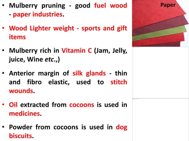 1st chapter introduction to sericulture | PPTX | Needlework | Arts and ...