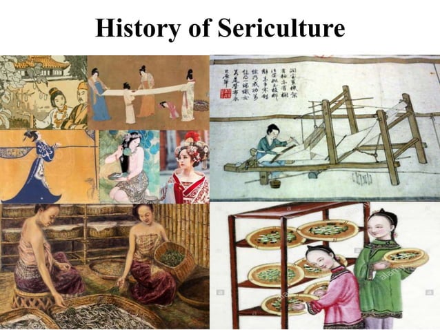 1st chapter introduction to sericulture | PPTX | Needlework | Arts and ...