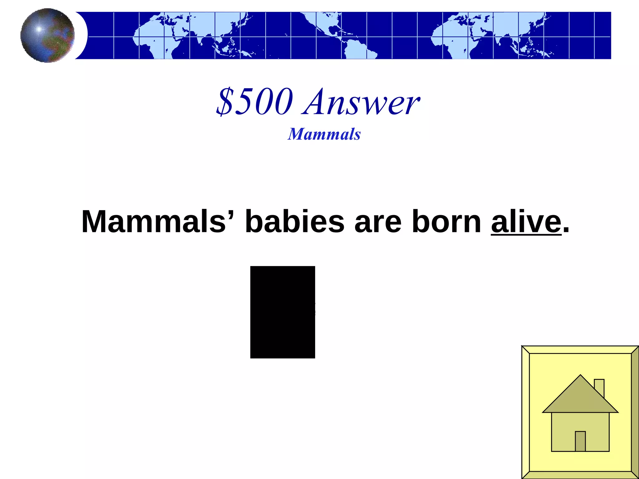 1st Grade Animals Jeopardy 1 | PPT