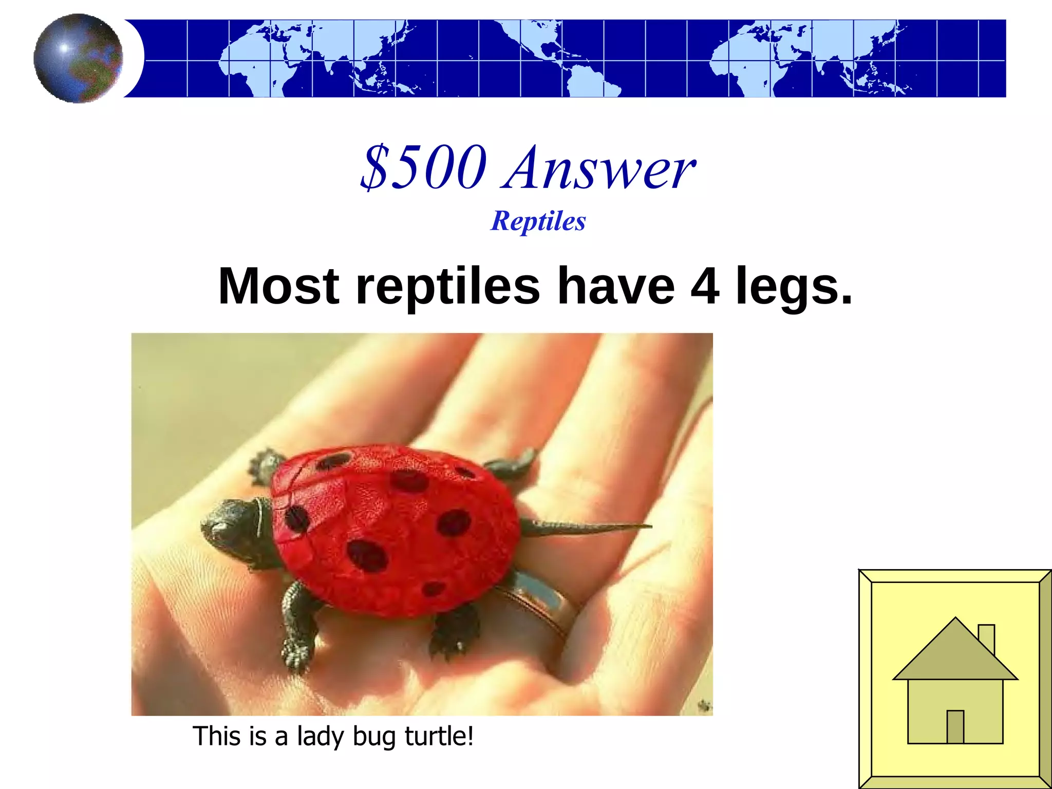 1st Grade Animals Jeopardy 1 | PPT
