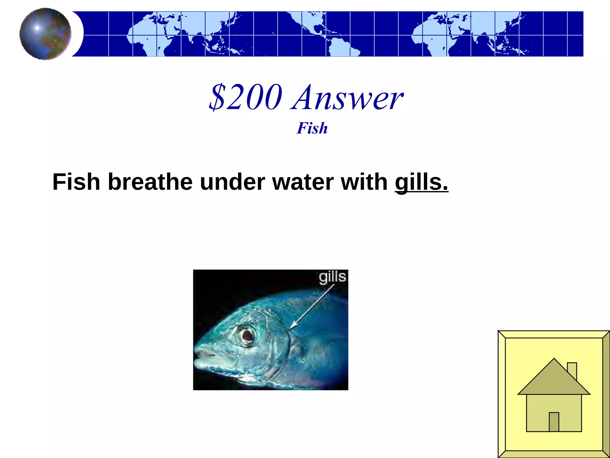 1st Grade Animals Jeopardy 1 | PPT