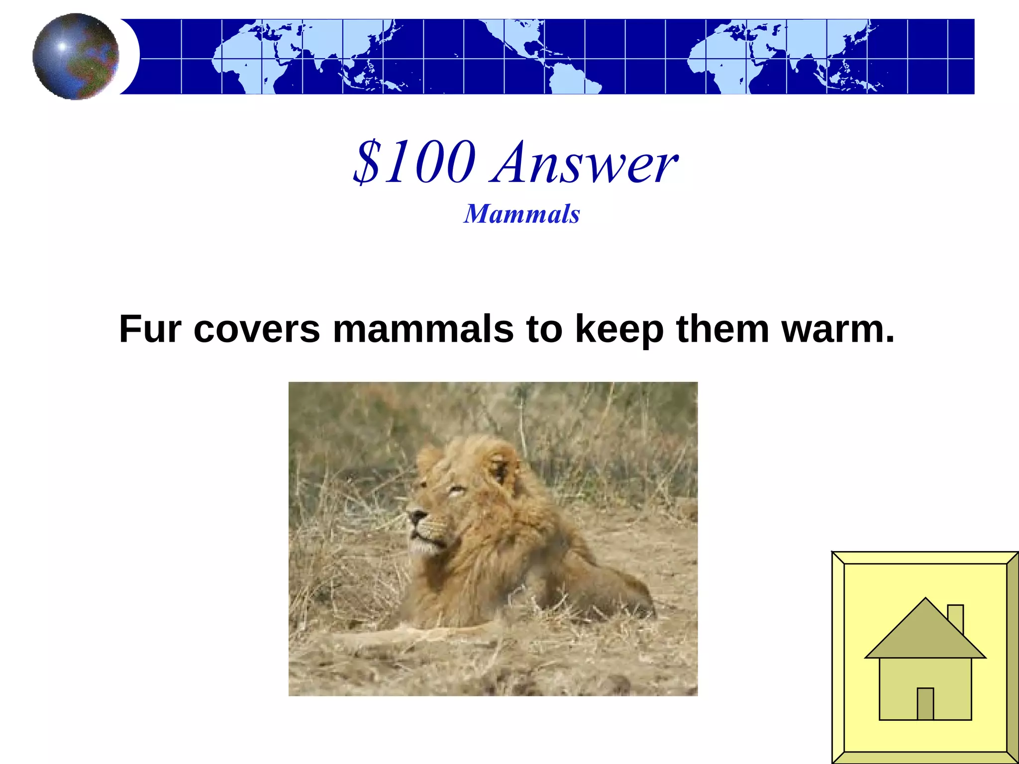 1st Grade Animals Jeopardy 1 | PPT