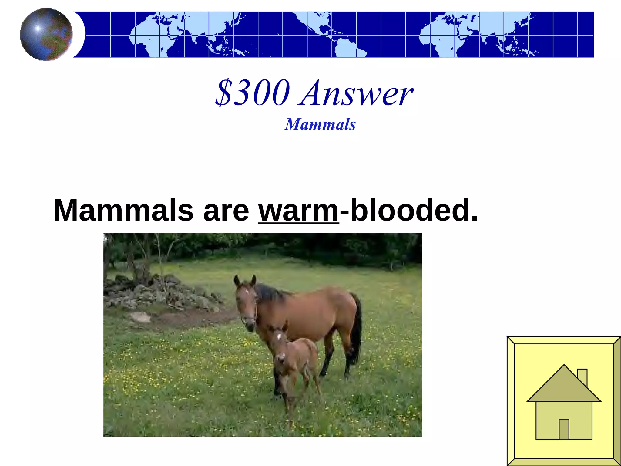 1st Grade Animals Jeopardy 1 | PPT