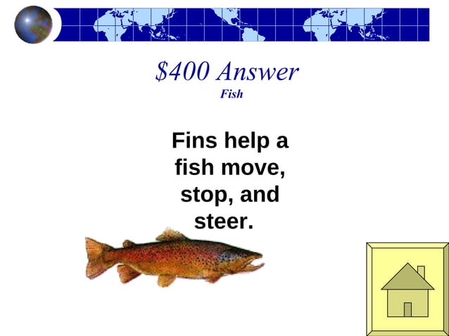 1st Grade Animals Jeopardy 1 | PPT