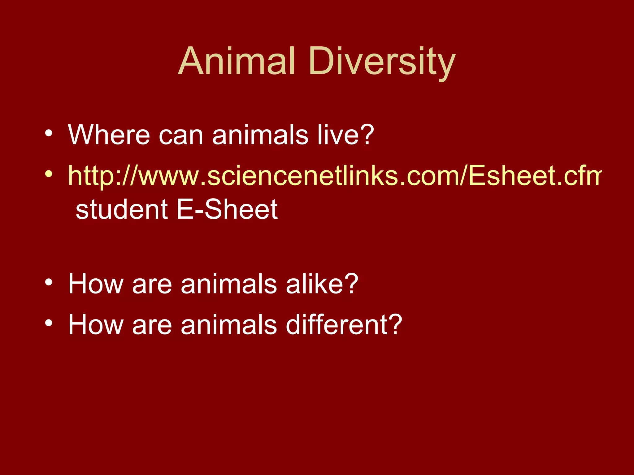 Animals | PPT