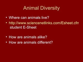 Animals | PPT