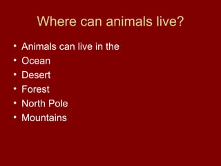 Animals | PPT
