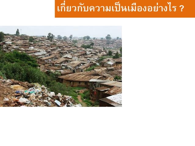 Introduction to Urban Administration | PDF