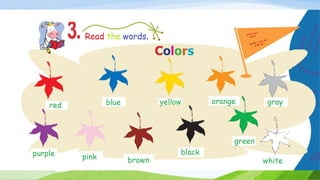 1st - New Words (September 4th, 2020) | PPTX
