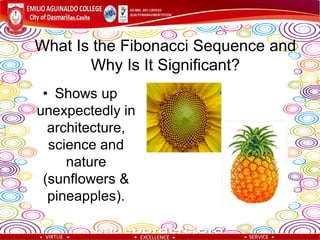 Fibonacci Sequence | PDF