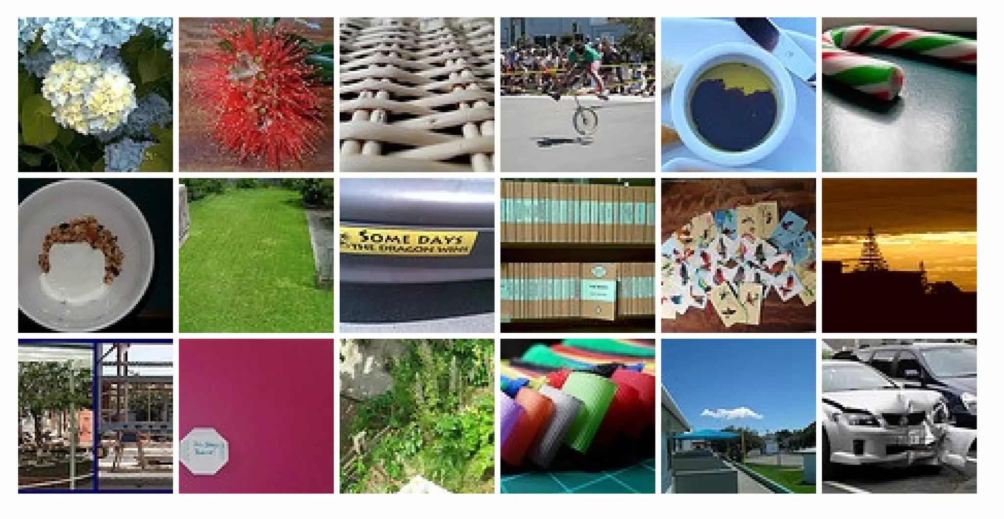 1st 18 Days of 365 Photo Challenge | PDF