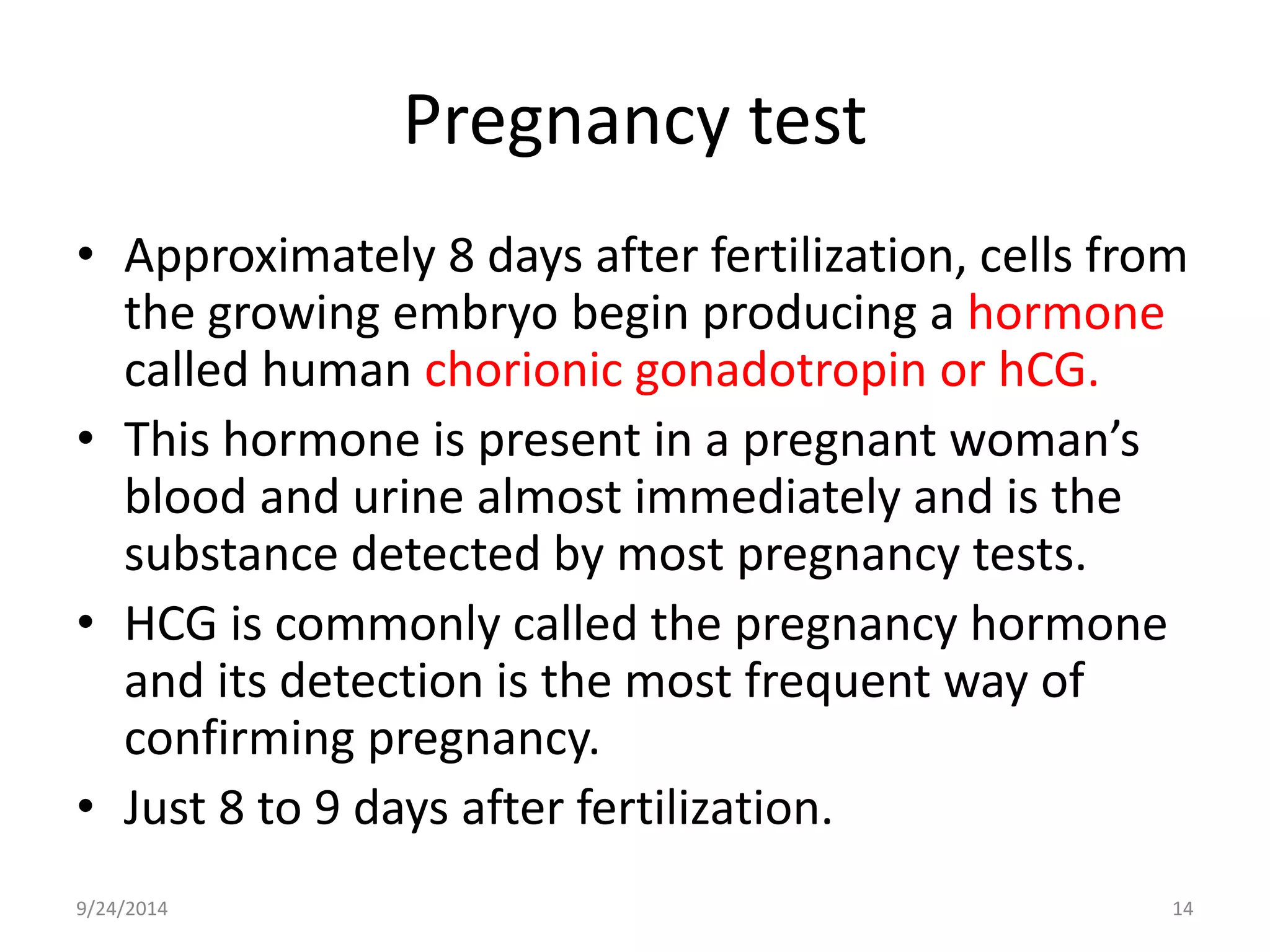 1st & 2nd weeks of development | PPTX