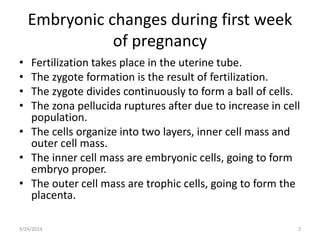 1st & 2nd weeks of development | PPTX