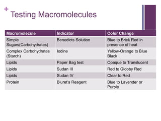1st 4th 5th Final Review | PPTX