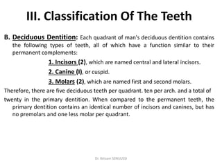 Introduction of dental anatomy | PDF