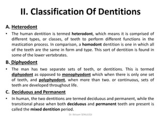 Introduction of dental anatomy | PDF