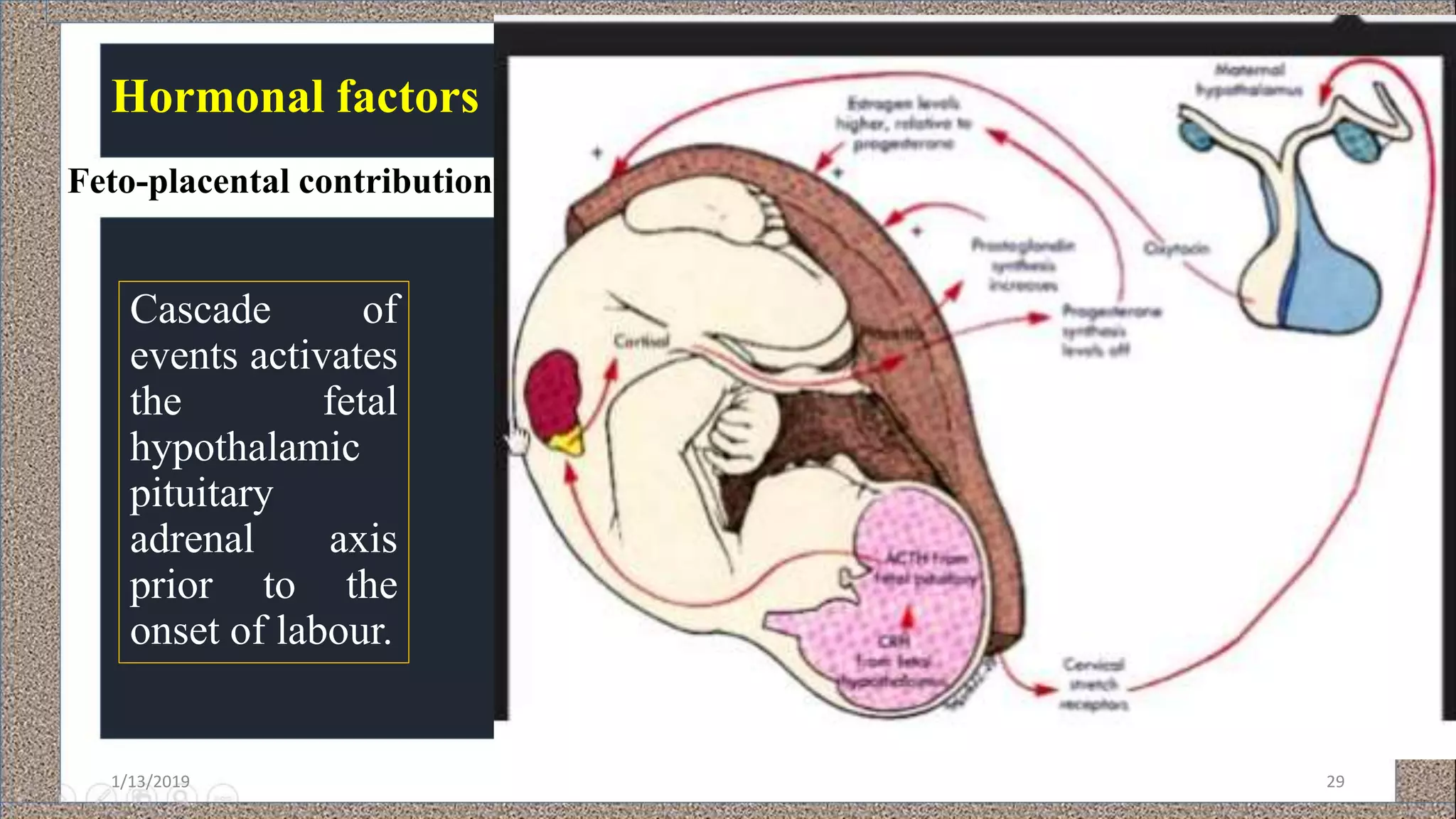 Introduction to Normal Labour | PPTX