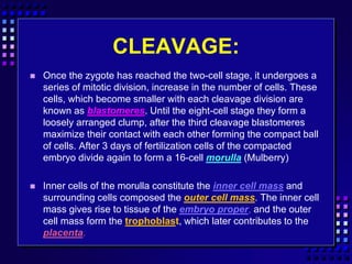 1st and 2nd week of human development | PPTX