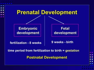 1st and 2nd week of human development | PPTX