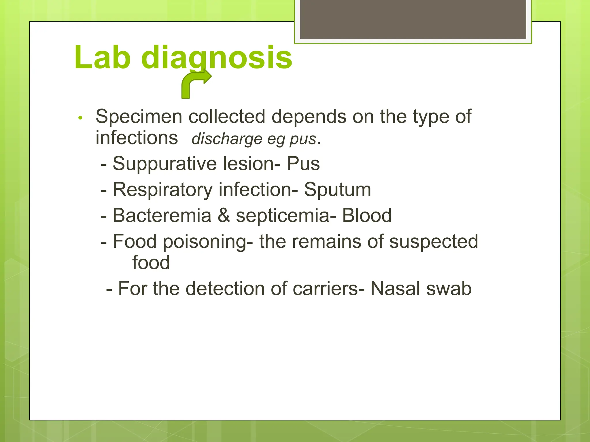 1 STAPHYLOCOCCUS.ppt
