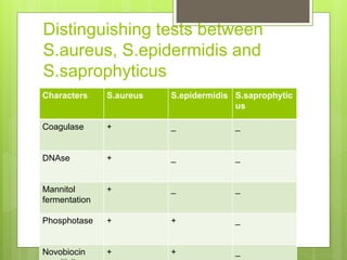 1 STAPHYLOCOCCUS.ppt