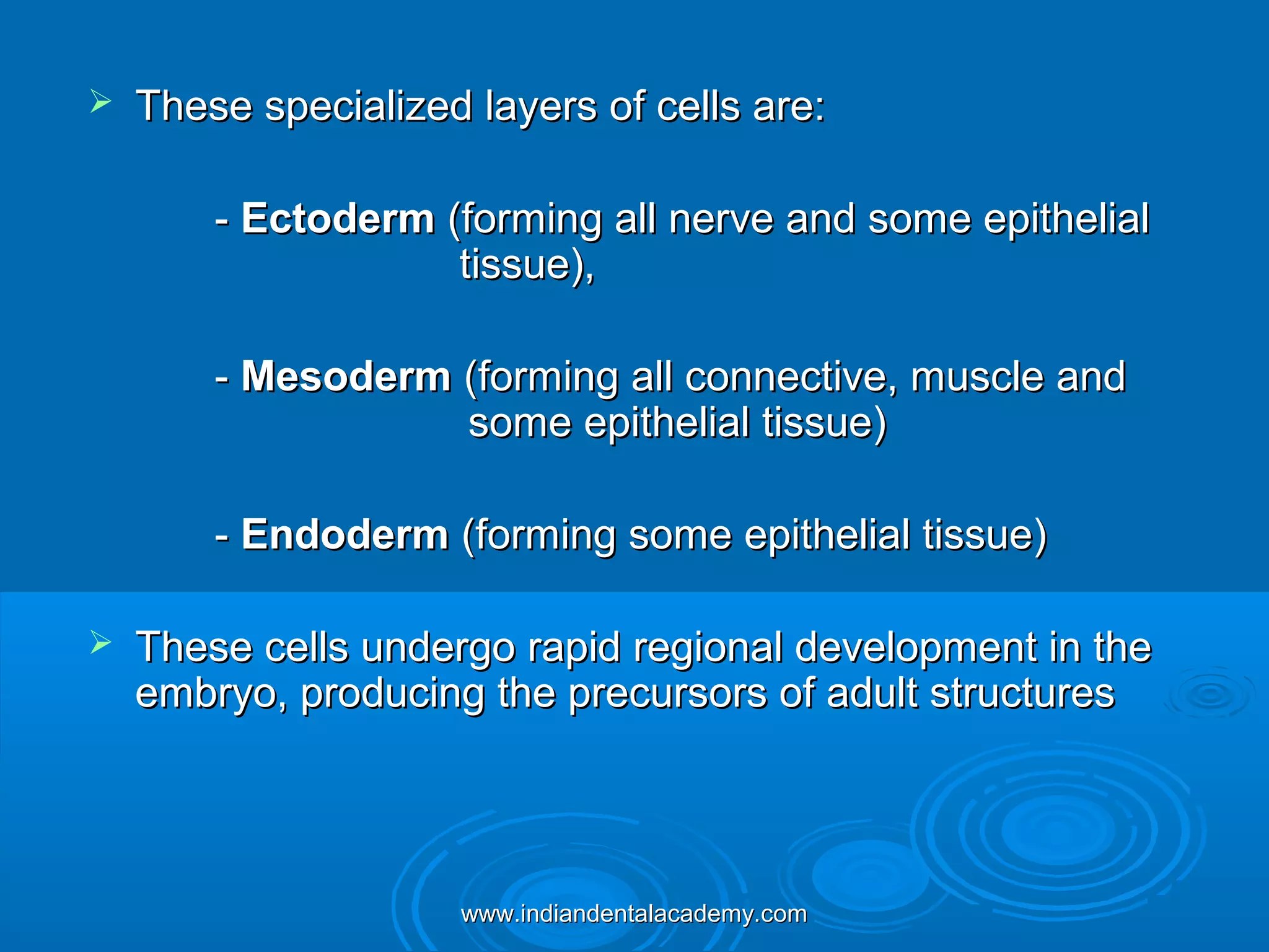 1st arch syndromes /prosthodontic courses | PPT